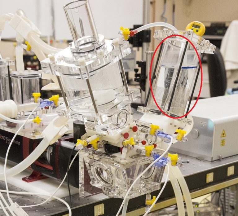 Using the ViVitro Pulse Duplicator for Full Heart Testing - ViVitro Labs