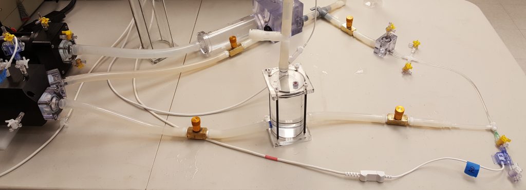 Cardiopulmonary Flow Loop System for Critical Care Monitoring - ViVitro ...